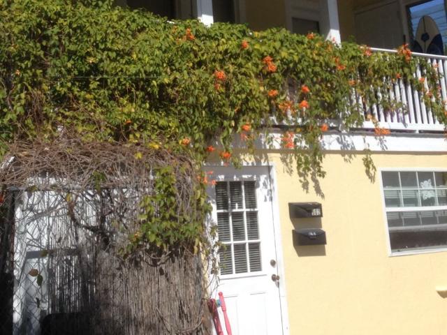 1 Bedroom Apartment for Rent at 302 Marshall Street, Clearwater, FL 33755