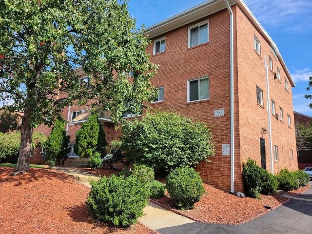 1 Bedroom Apartment for Rent at 323 S Veitch St #5, Arlington, VA 22204 Penrose