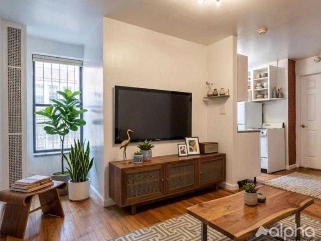 1 Bedroom Apartment for Rent at 332 E 95th St, New York, NY 10128 Upper East Side