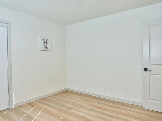 1 Bedroom Apartment for Rent at 460 E Maude Ave, Sunnyvale, CA 94085 Lowlanders