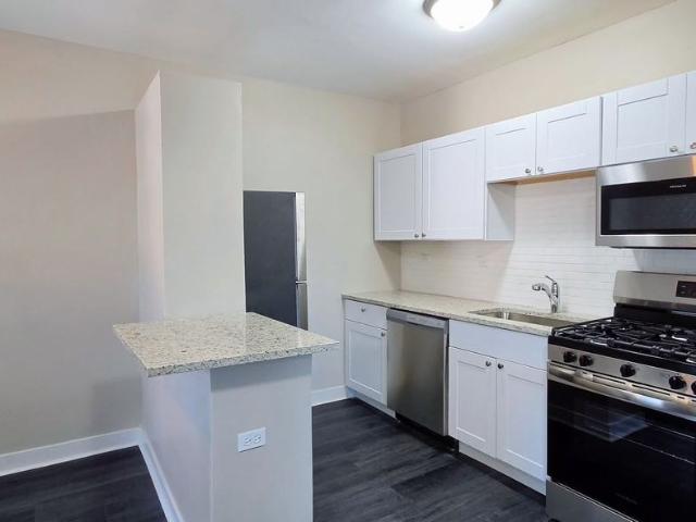 1 Bedroom Apartment for Rent at 4766 N Virginia Ave #106, Chicago, IL 60625 Lincoln Square