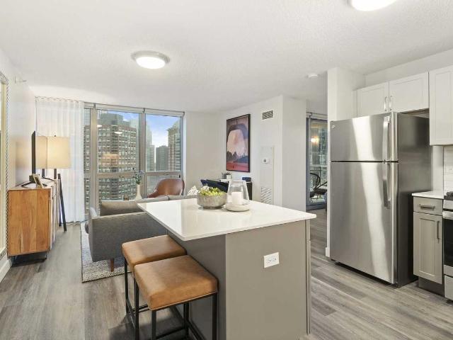1 Bedroom Apartment for Rent at 400 E South Water St, Chicago, IL 60601 Loop