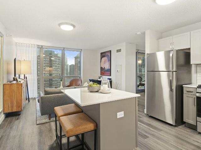 1 Bedroom Apartment for Rent at 400 E South Water St, Chicago, IL 60601 Loop