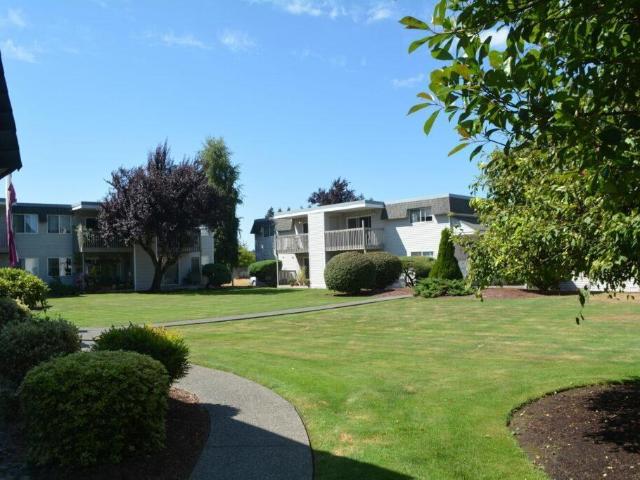 1 Bedroom Apartment for Rent at 411 Lee St Sw, Tumwater, WA 98501