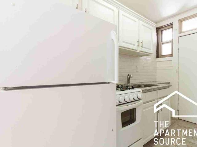 1 Bedroom Apartment for Rent at 540 W Surf St #N3, Chicago, IL 60657 Lakeview