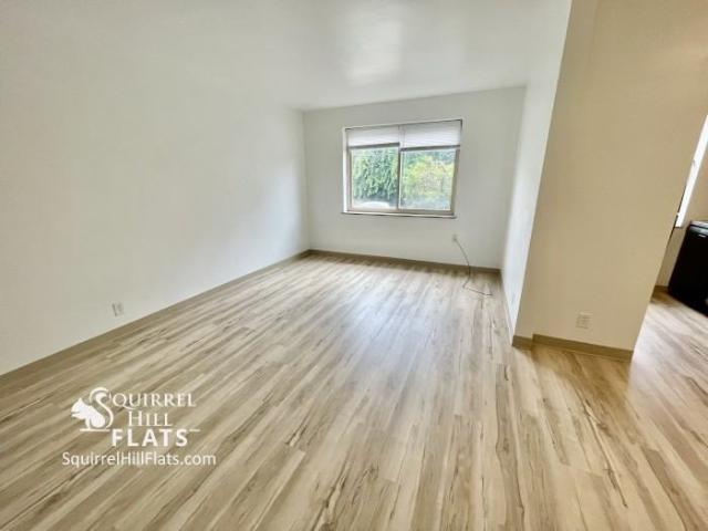 1 Bedroom Apartment for Rent at 5710 Phillips Avenue #A4, Pittsburgh, PA 15217 Squirrel Hill South
