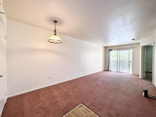 1 Bedroom Apartment for Rent at 500 South Rancho Santa Fe Road #202, San Marcos, CA 92078