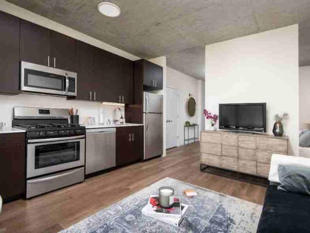 1 Bedroom Apartment for Rent at 51 E 14th St, Chicago, IL 60605 South Loop