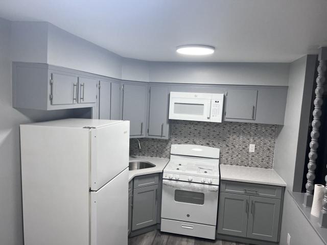1 Bedroom Apartment for Rent at 520 Sheffield Avenue #1R, New York, NY 11207 East New York