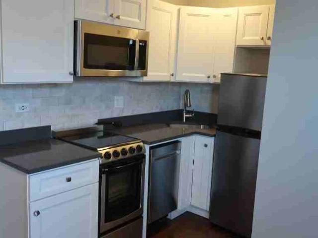1 Bedroom Apartment for Rent at 640 W Wrightwood Ave #115, Chicago, IL 60614 Lincoln Park