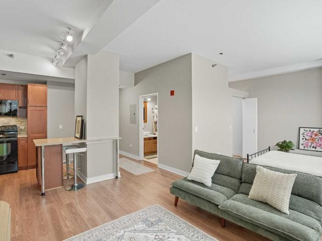 1 Bedroom Apartment for Rent at 63 E Lake St, Chicago, IL 60601 Loop