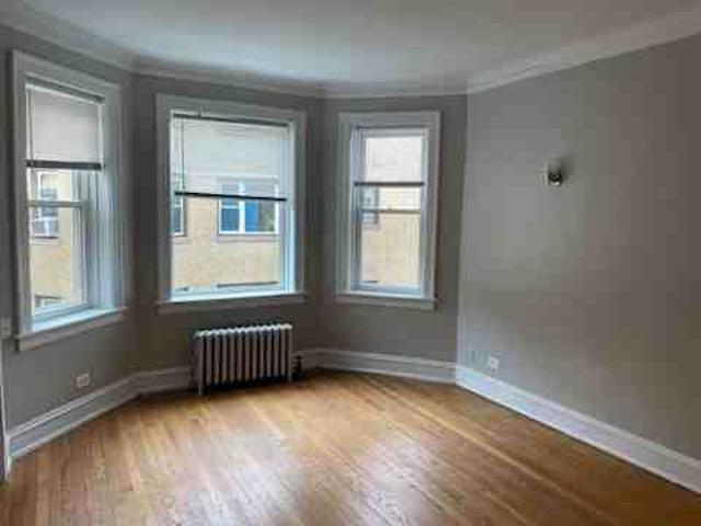1 Bedroom Apartment for Rent at 7377 N Damen Ave Apt J2 #J2, Chicago, IL 60645 Rogers Park