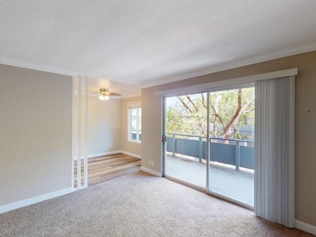 1 Bedroom Apartment for Rent at 829 Las Gallinas Ave #219, San Rafael, CA 94903 Terra Linda