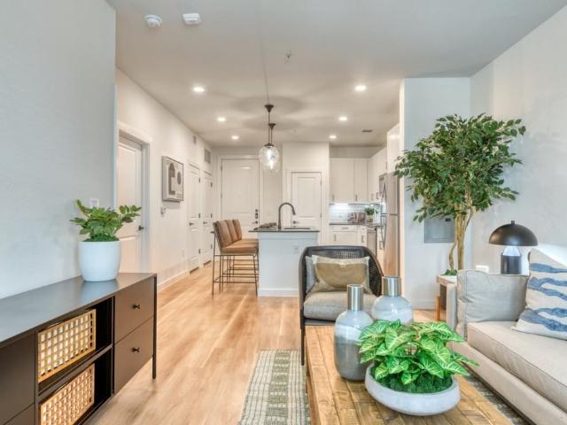 1 Bedroom Apartment for Rent at 830 Gruene Road #A0, New Braunfels, TX 78130