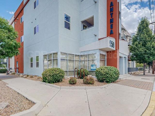 1 Bedroom Apartment for Rent at 950 4th St Nw #304, Albuquerque, NM 87102
