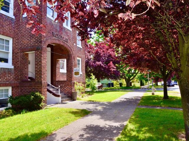 1 Bedroom Apartment for Rent at 901 N M St #8, Tacoma, WA 98403 North End