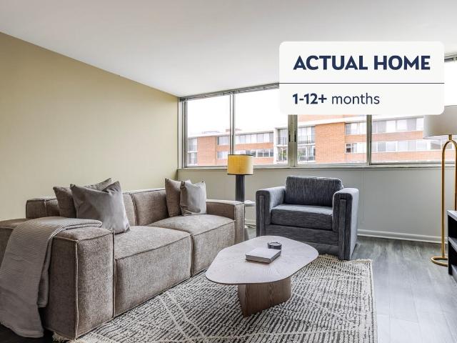 1 Bedroom Apartment for Rent at 901 S Ashland Ave #1385, Chicago, IL 60607 Near West Side