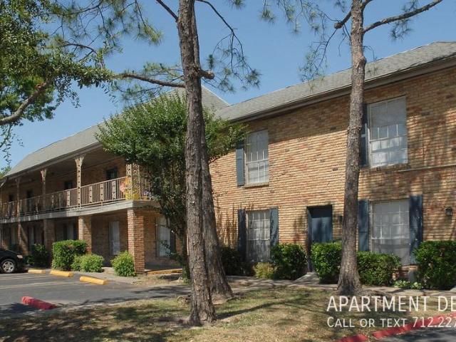 1 Bedroom Apartment for Rent at 917 Lane Dr #4508, Rosenberg, TX 77471