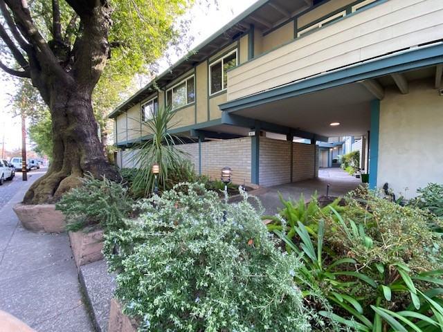 1 Bedroom Apartment for Rent at 917 San Anselmo Ave #1, San Anselmo, CA 94960 San Anselmo