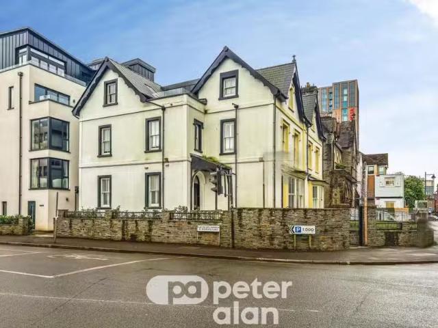 1 bedroom apartment for rent in Museum View, Park Place, Cardi.
