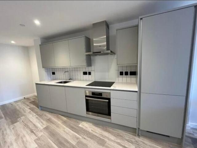 1 bedroom apartment for rent in Apex Lofts, B12