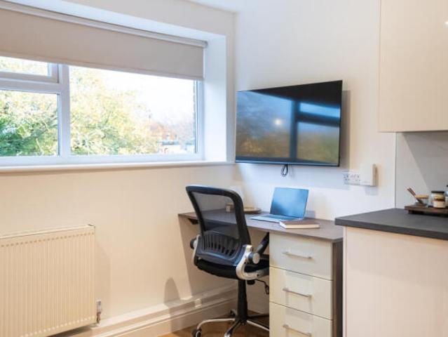 1 bedroom apartment for rent in Apt 36, Portland Place #435125, LS6