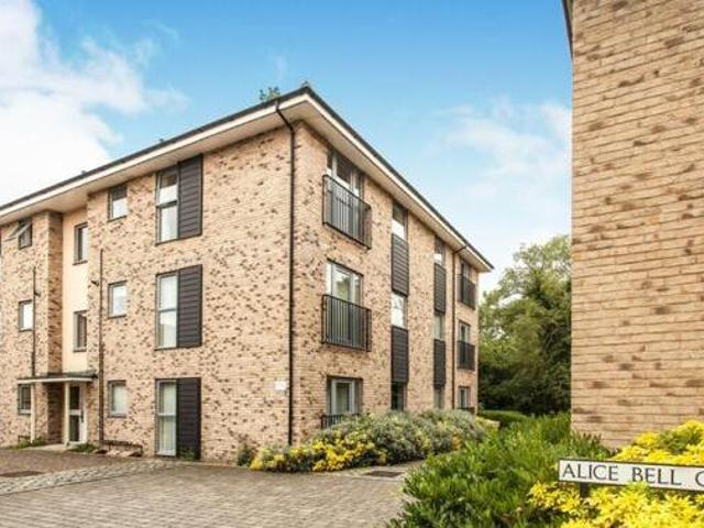 1 Bedroom Apartment For Rent In Cambridge