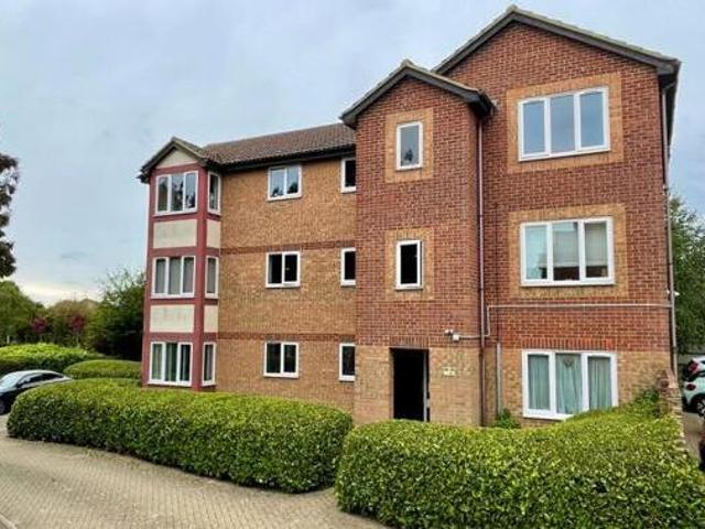 1 Bedroom Apartment For Rent In Chelmsford