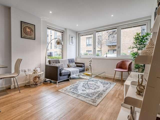 1 bedroom apartment for rent in Evelyn, London