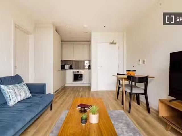 1 bedroom apartment for rent in Fairfield, London