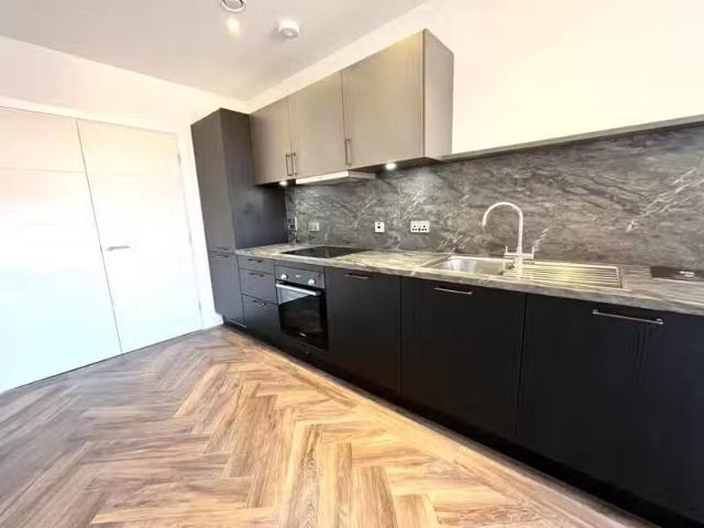 1 bedroom apartment for rent in Gunsmith House, B4