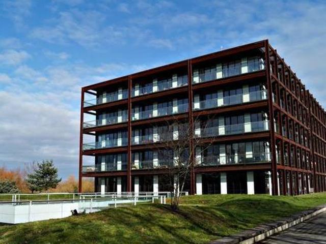 1 bedroom apartment for rent in Lake Shore Drive BS13