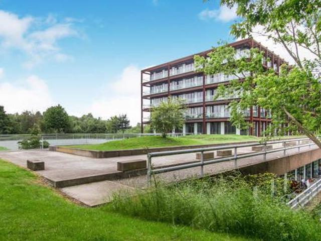 1 bedroom apartment for rent in Lake Shore Drive BS13