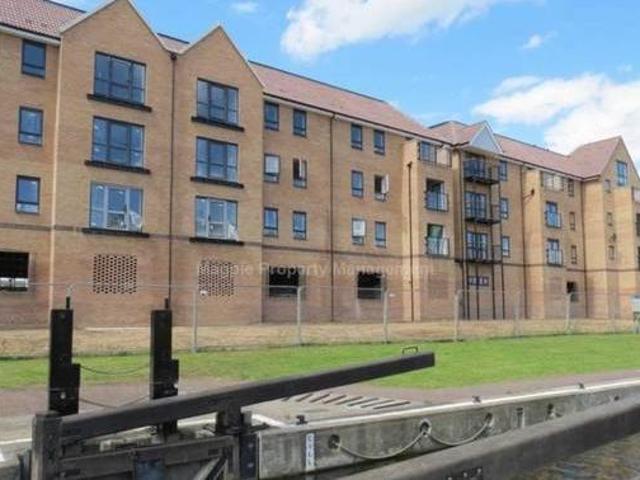 1 bedroom apartment for rent in Little Paxton PE19