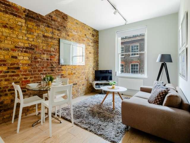 1 bedroom apartment for rent in London