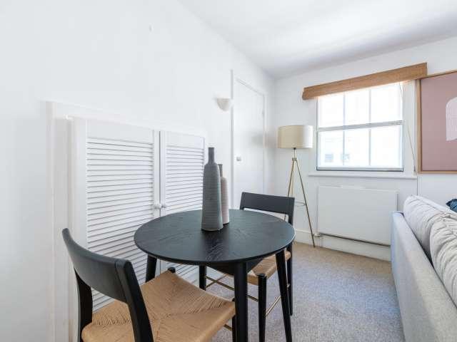 1 bedroom apartment for rent in London