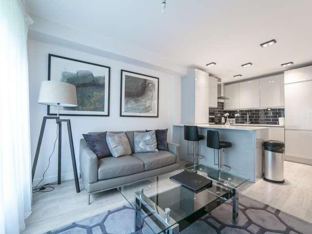 1 bedroom apartment for rent in London