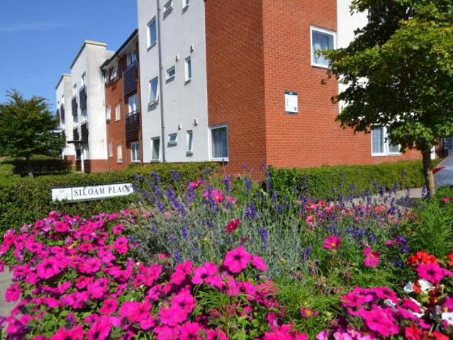 1 bedroom apartment for rent in Pownall Road, Ipswich, Suffolk, IP3
