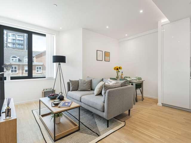 1 bedroom apartment for rent in Reading