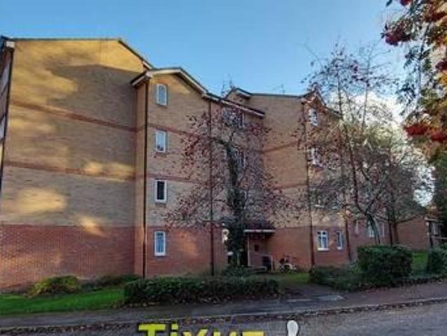 1 bedroom apartment for rent in Sudbury CO10