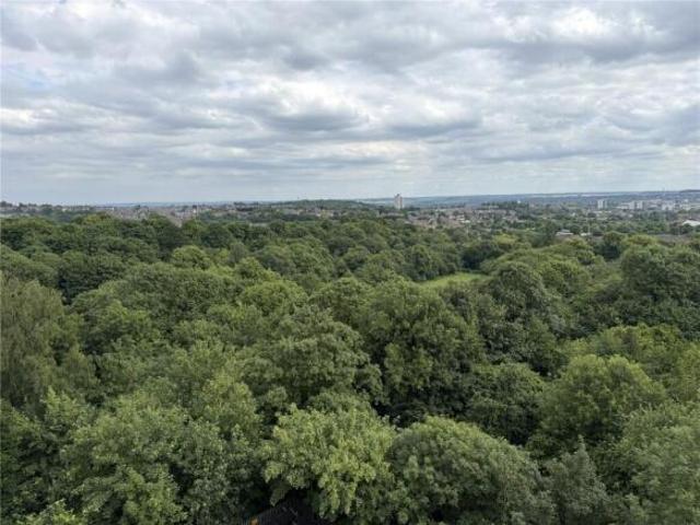 1 bedroom apartment for rent in Woodborough Road, Nottingham, Nottinghamshire, NG3