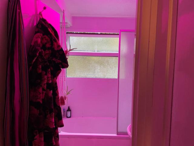 1 Bedroom Apartment July + August Sublet