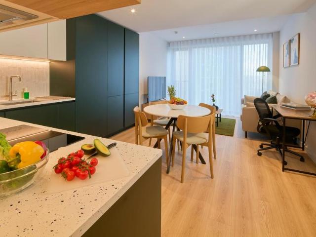 1 Bedroom Apartment London London 100811889