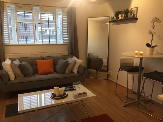 1 Bedroom Apartment London London 101776155