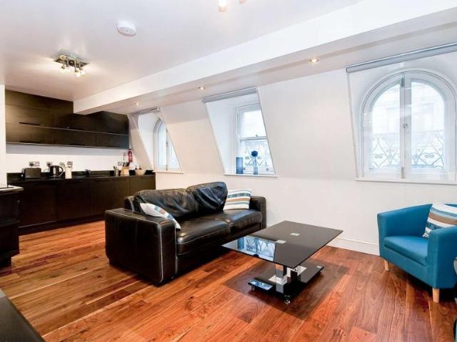 1 Bedroom Apartment London London 101822568