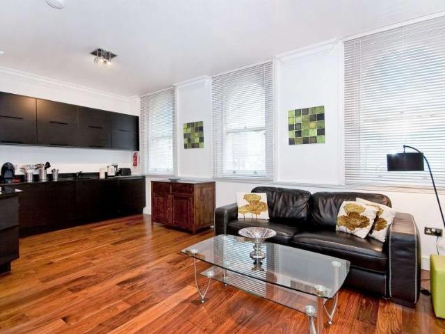 1 Bedroom Apartment London London 101837085