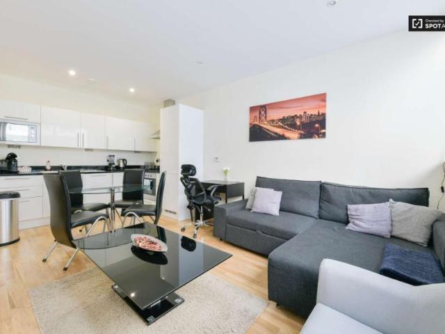 1 Bedroom Apartment London London 101841058