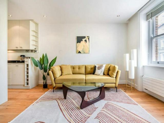 1 Bedroom Apartment London London 89137059