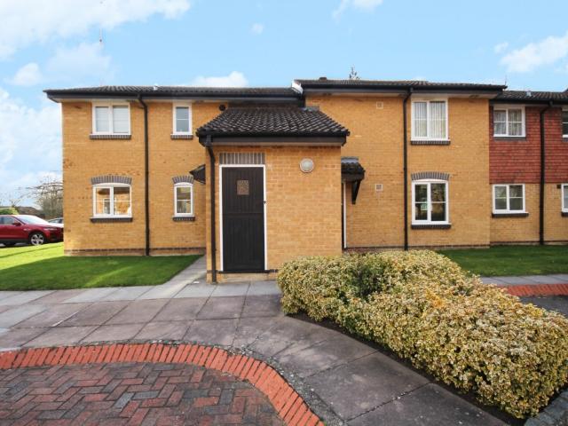 1 bedroom Apartment To Let