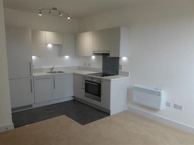 1 bedroom apartment to rent